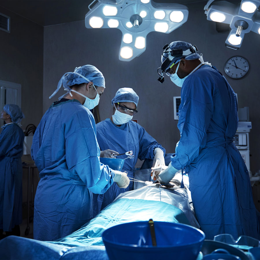 Samba BioLogics | Developing Breakthrough Regenerative Medicine